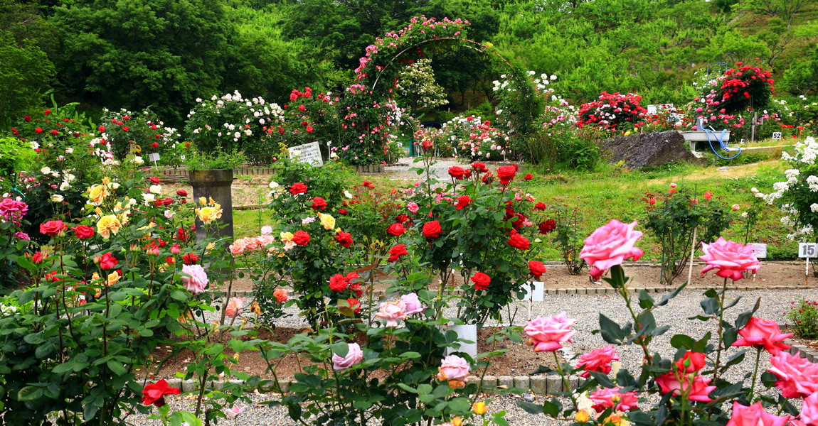 四日市観光協会｜おかげさまで50周年